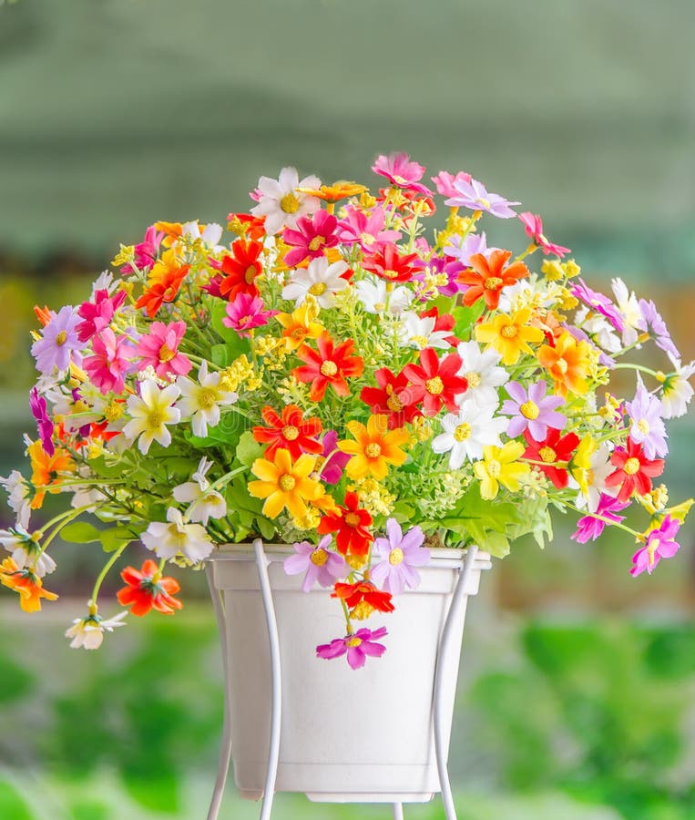 Flower pot stock photo. Image of gift, flowerpot, nature - 38622608
