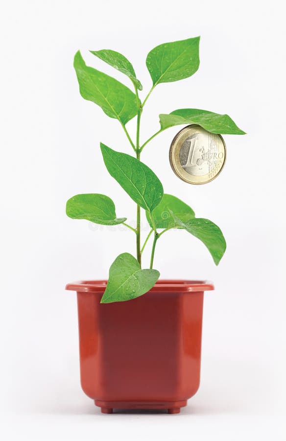Flower pot with coin stock image. Image of botany, botanical - 26192351