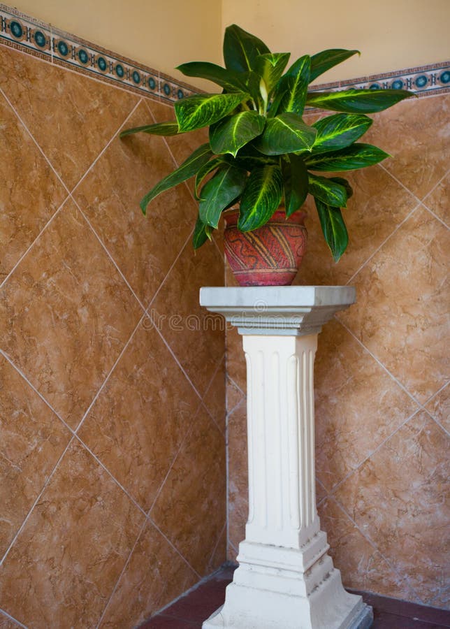 Flower pot on column stock photo. Image of interior, classicism - 29517148