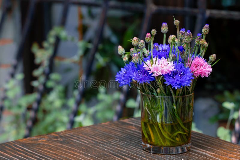 Flower Pot Cup Rustic Decorative Object on Table Outdoor Dusk Space ...