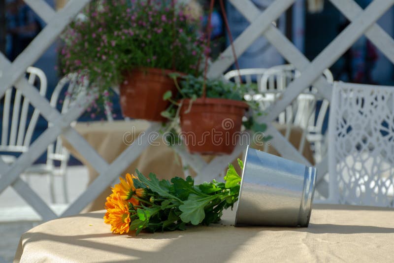 Flower pot fallen down stock image. Image of blossom - 117338221