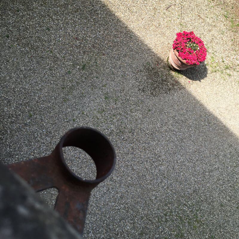 Flower pot on ground stock image. Image of blooming, ground - 57331839
