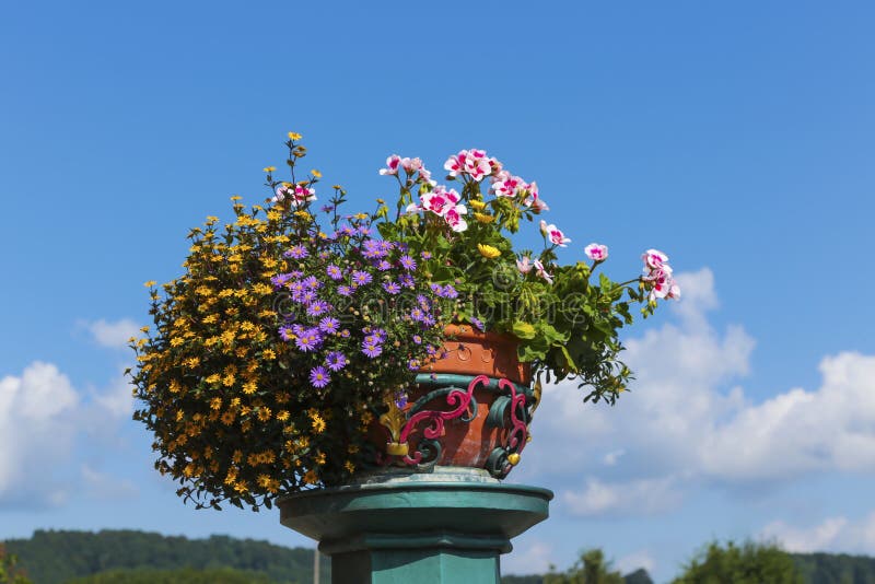 16,044 Single Flower Pot Stock Photos - Free & Royalty-Free Stock ...