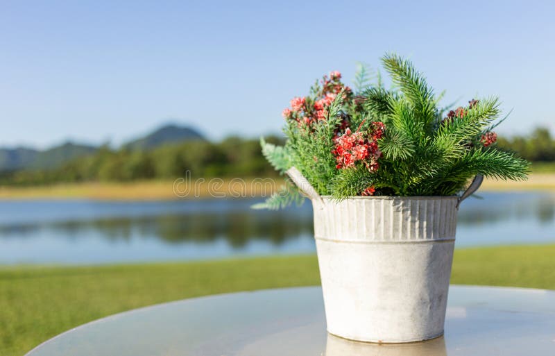 Flower pot on the table stock photo. Image of view, white - 158638322