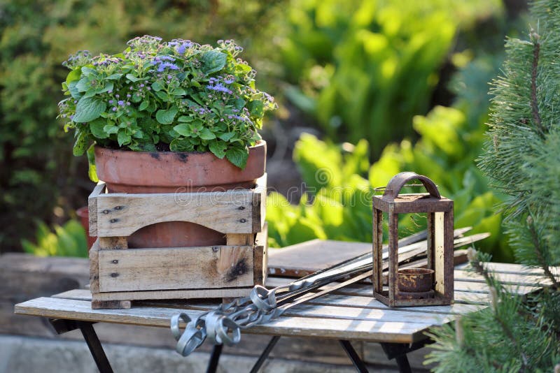 Flower Pot on the Table at Garden Stock Image - Image of food, detail ...
