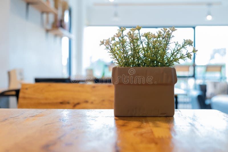 Indoor Plants Wording Wood Blocks Stock Photos - Free & Royalty-Free ...
