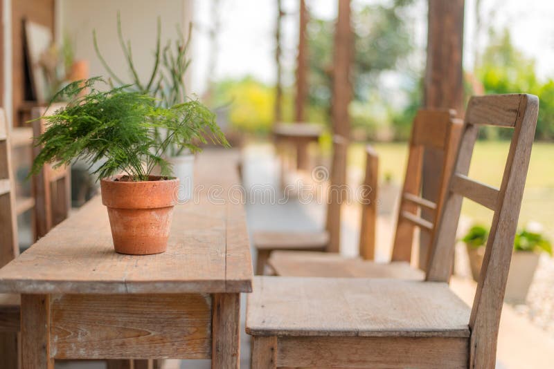 Flower pot on the table stock image. Image of plant, cottage - 45197869