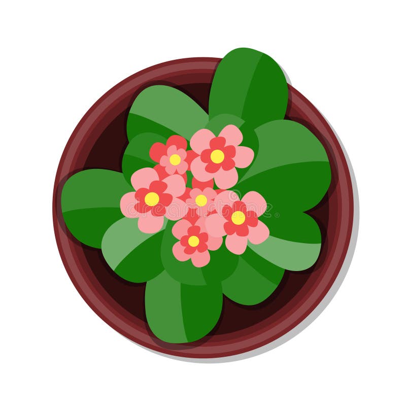 Flower Pot Top View Cartoon Illustration Stock Vector - Illustration of ...