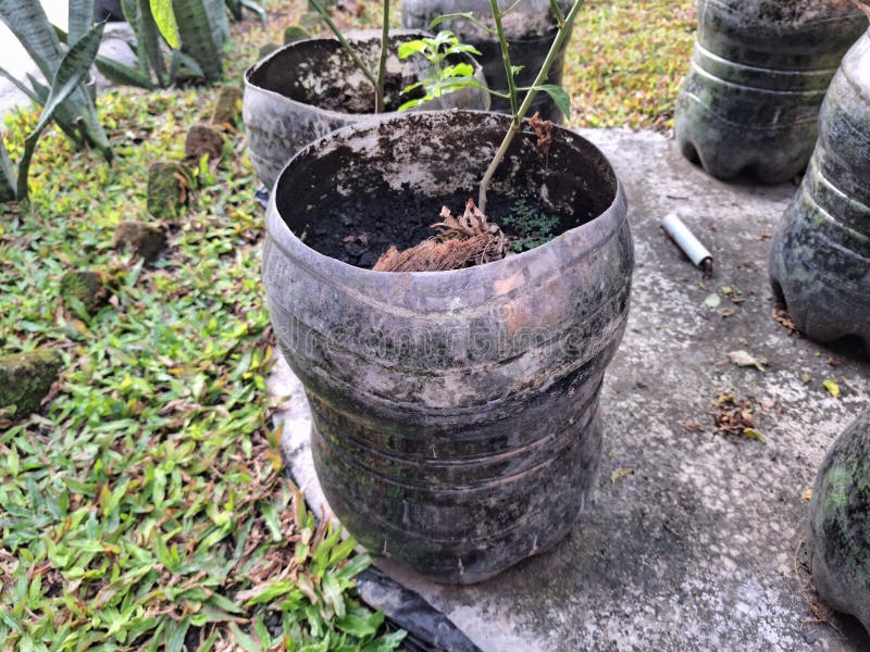 Flower Pot from Used Gallin Stock Image - Image of grass, garden: 282562311