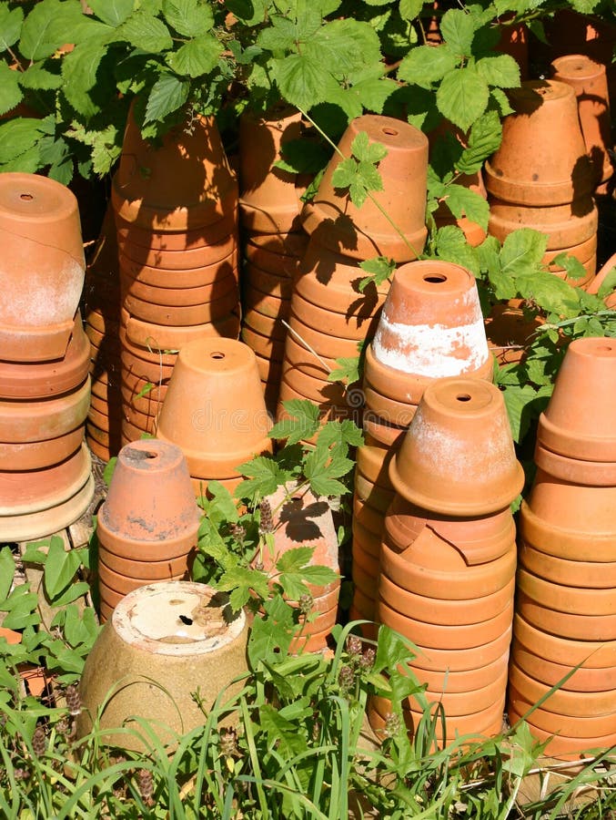 Flower pots stock photo. Image of plant, outdoors, summer - 38257796