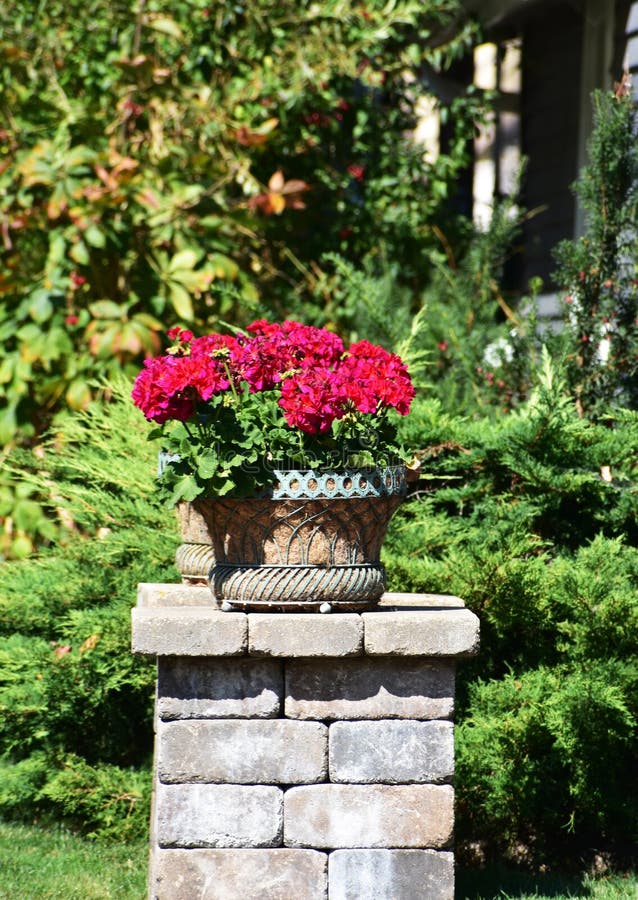 Brick Flower Pots Stock Photos - Download 1,286 Royalty Free Photos