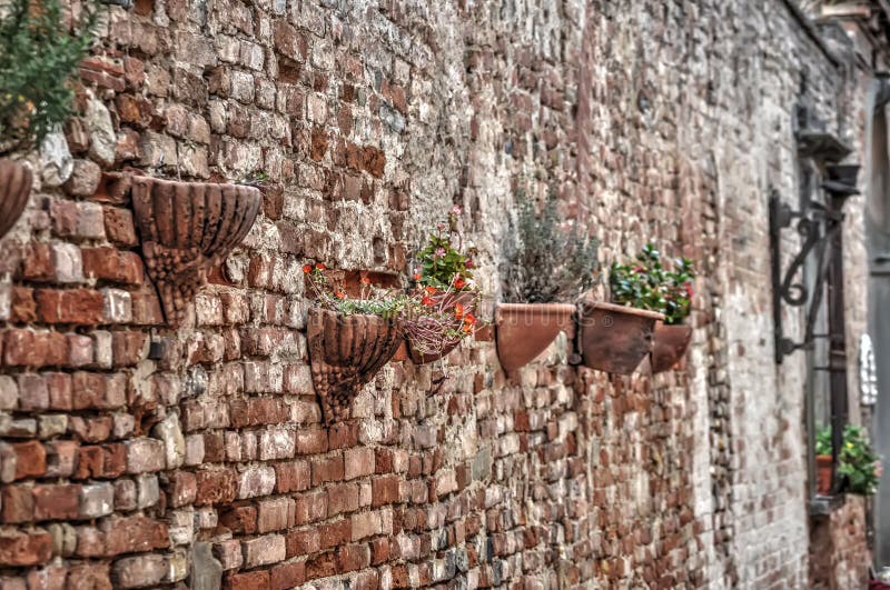 Flower Pots in a Brick Wall Stock Image - Image of dynamic, cobblestone ...