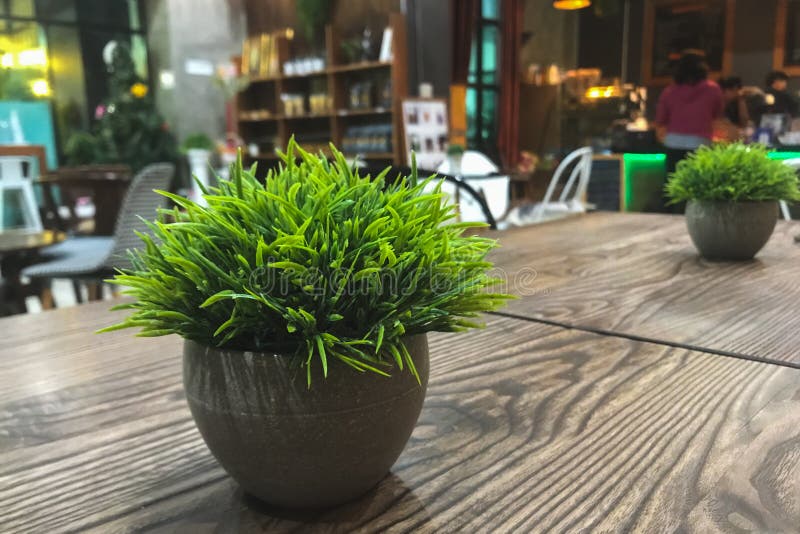 Flower Pots Decorated in the Coffee Shop Stock Photo - Image of coffee ...