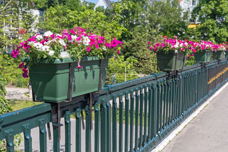Flower Pots Fence stock photo. Image of beautiful, plants - 163181818
