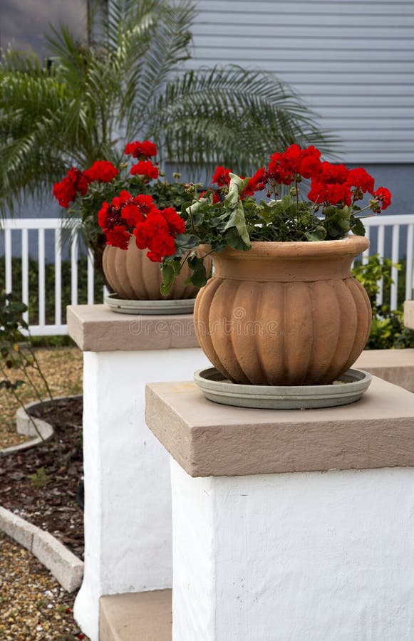Flower Pots and Flowers stock photo. Image of architecture - 31112852