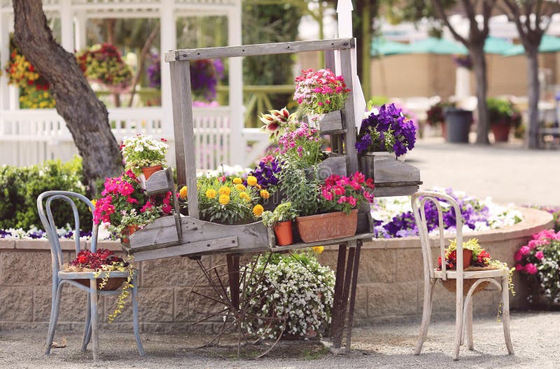 Flower pots stock image. Image of photoshoot, round, flowers - 78394389