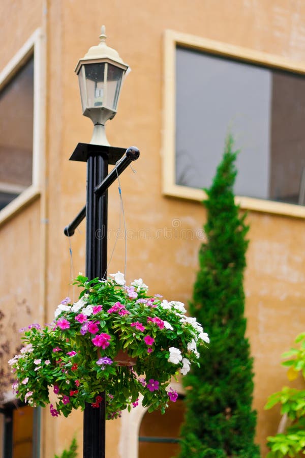 Flower pots hanging stock photo. Image of cute, bloom - 27863594