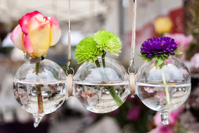 Flower pots stock photo. Image of clear, purple, cute - 32162392