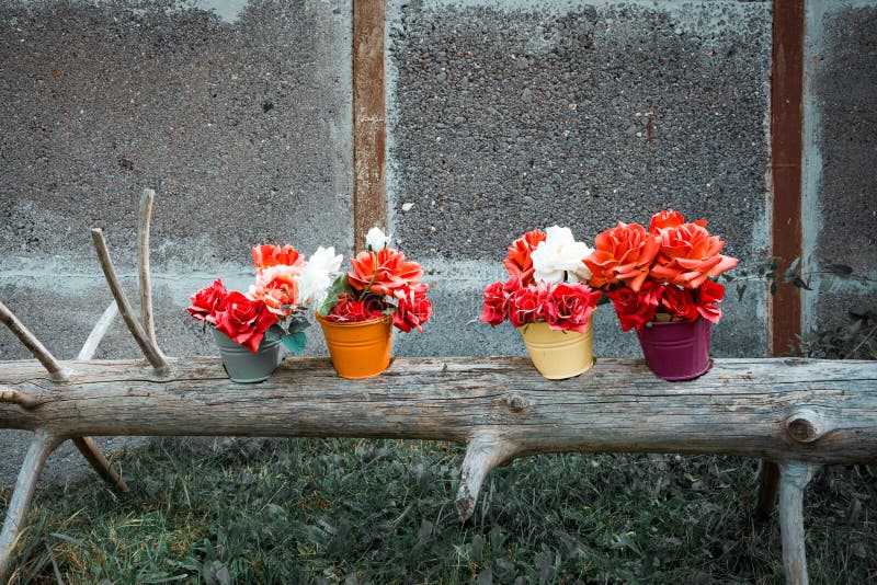 Flower pots on a log stock photo. Image of growth, space - 200621922