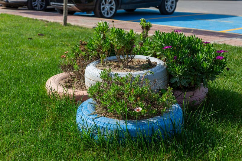 Flower Pots Made of Old Car Tires Stock Photo - Image of idea, grass ...