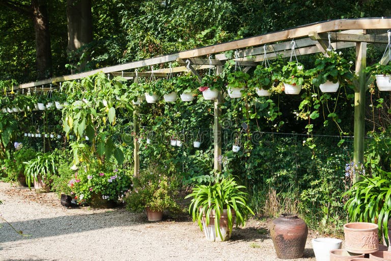 44,079 Flower Nursery Plant Stock Photos - Free & Royalty-Free Stock ...