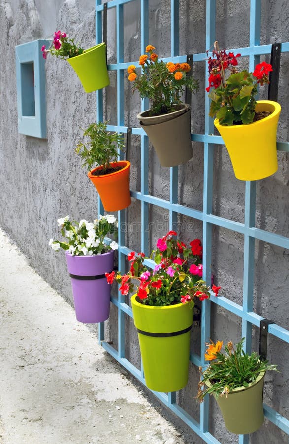 Flower pots on wall stock image. Image of outdoor, green - 40137085