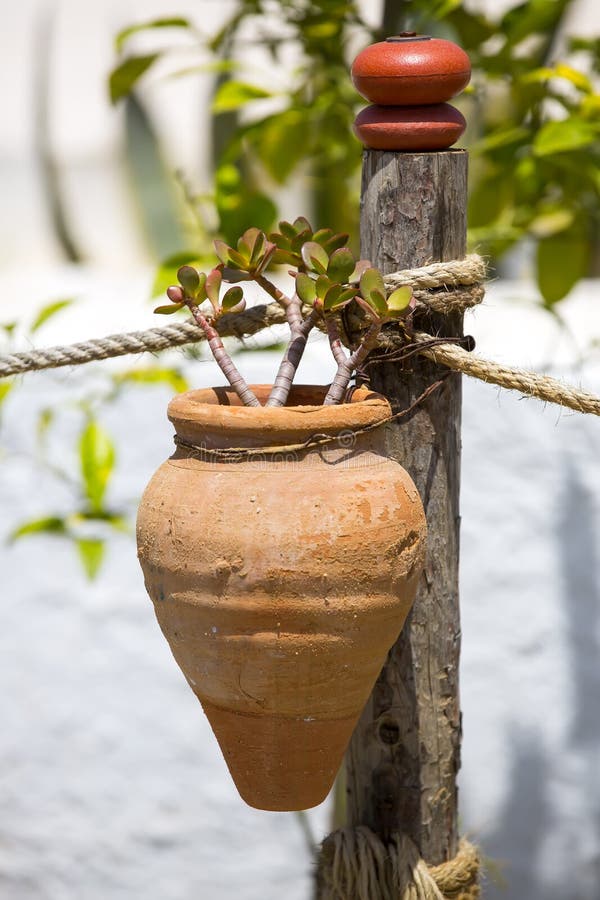 Flower pots stock image. Image of places, clean, floral - 42973291