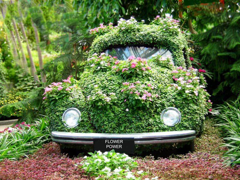 42,660 Flower Power Stock Photos - Free & Royalty-Free Stock Photos ...