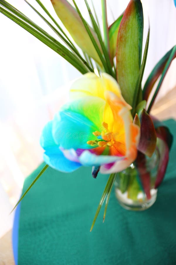 Flower Power of Colors Genetisch Prepariert Editorial Image - Image of ... Flower Power of Colors Genetisch Prepariert Editorial Image - Image of ...