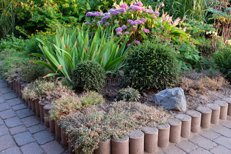 Flower power stock image. Image of lake, flower, nature - 57042259