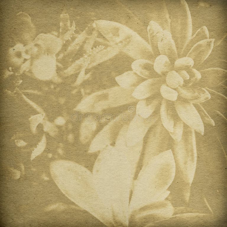 Watermark Flower Stock Illustrations – 2,053 Watermark Flower Stock ...