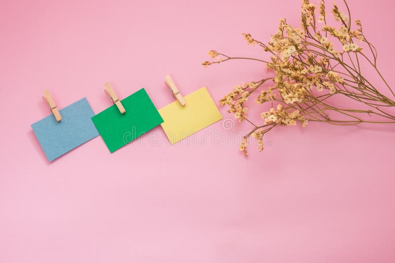 Flower Putting beside. Three Post it Note or Paper Office Note I Stock ...