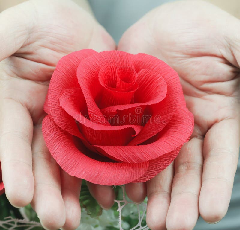 A Flowerred Rose on the Hands of People for Love of Couple Stock Image ...