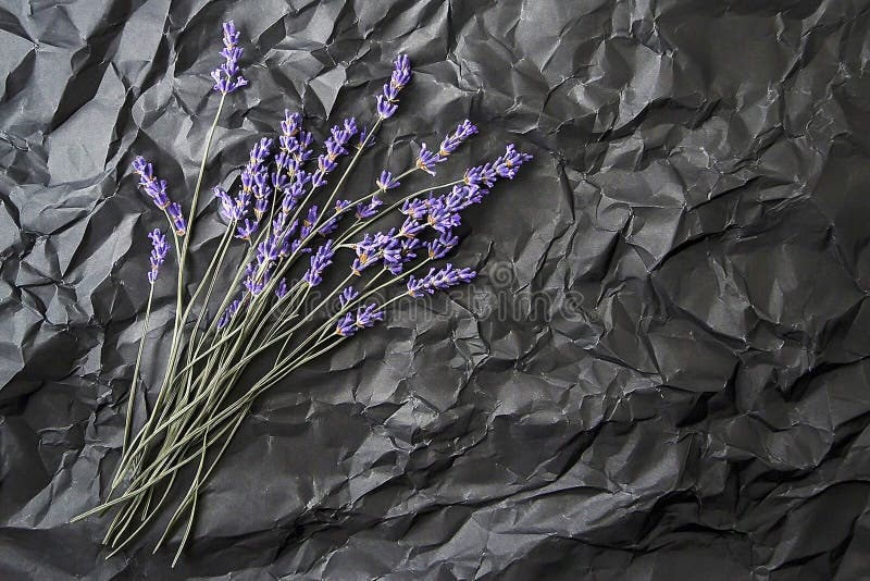 Lavender Flower Hyper Realistic Color Drawing Stock Illustration ...