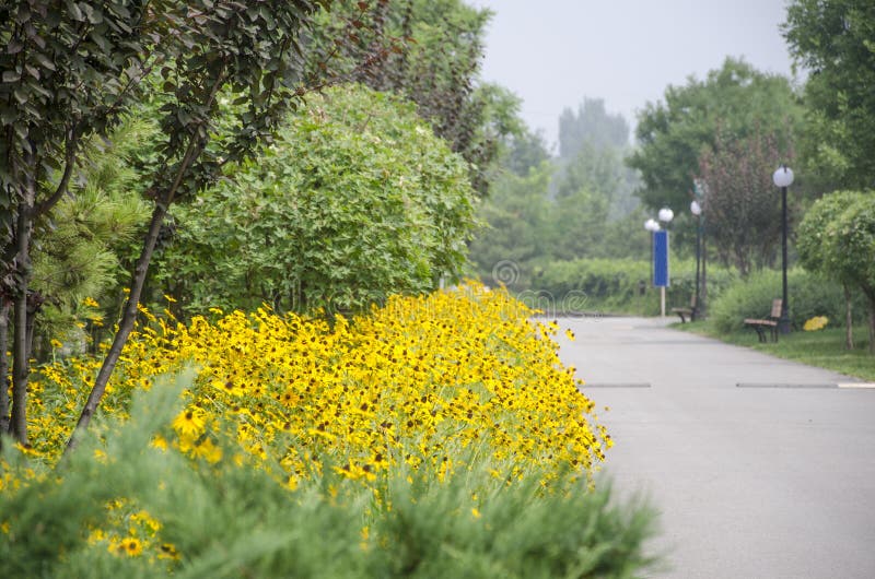 Flower road stock image. Image of grass, flower, tree - 73665095