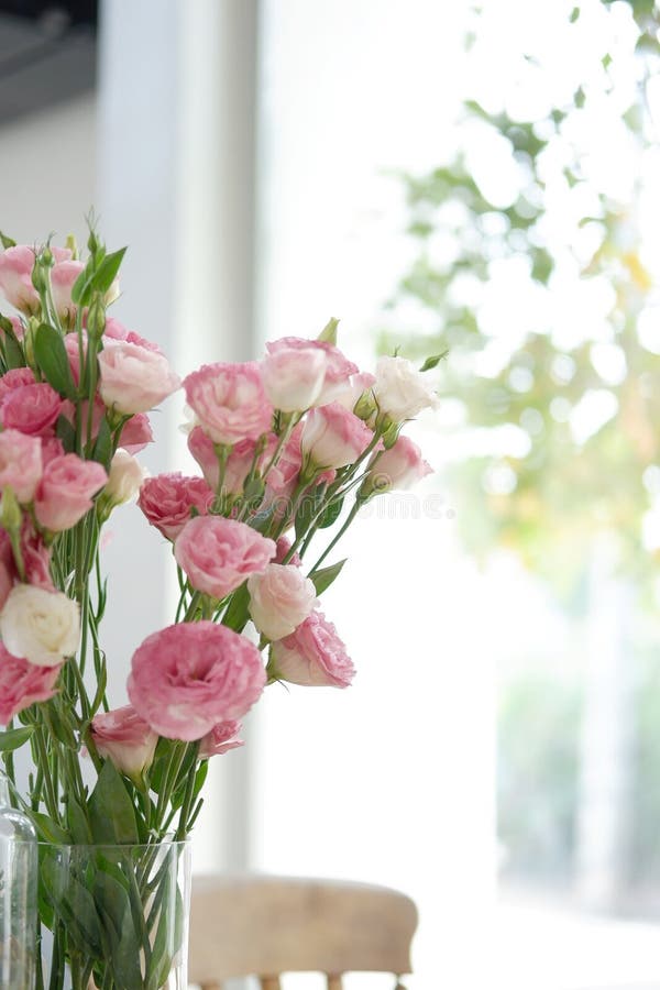 Flower in Room on the Windowsill Beautiful Flowers Modern Interior Room ...