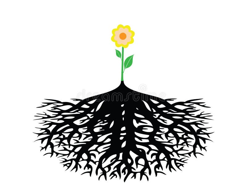 Flower with root isolated stock vector. Illustration of summer - 8140638