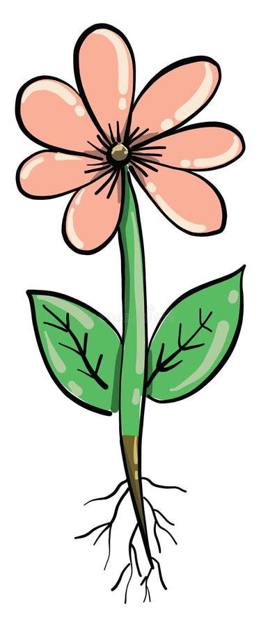 Flower Roots Stock Illustrations – 2,317 Flower Roots Stock ...