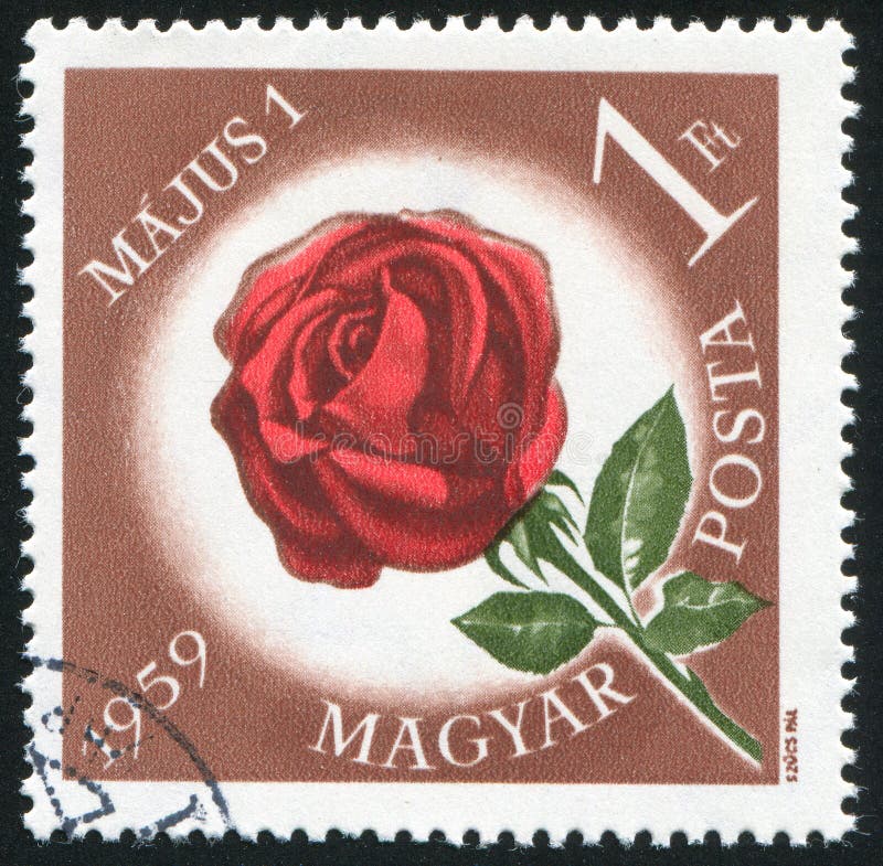 Flower rose editorial stock photo. Image of mail, postcard - 154214278