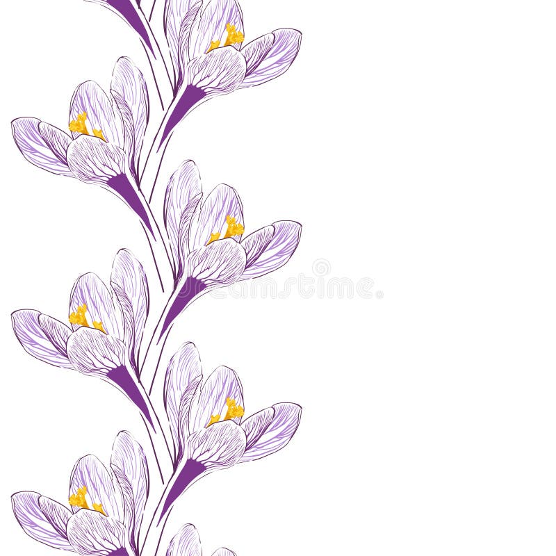 Outline Saffron Stock Illustrations – 734 Outline Saffron Stock ...