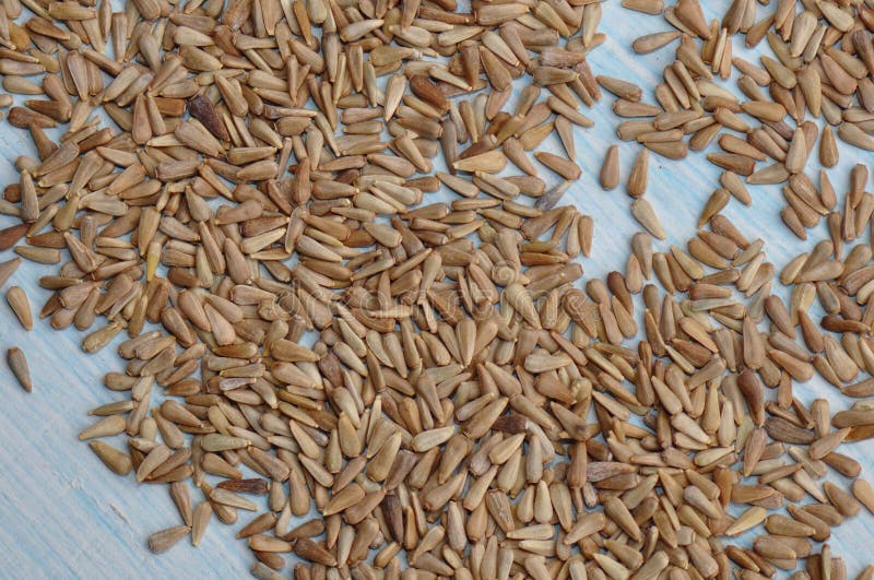 Flower seeds stock photo. Image of lawn, grow, officinalis - 112345036