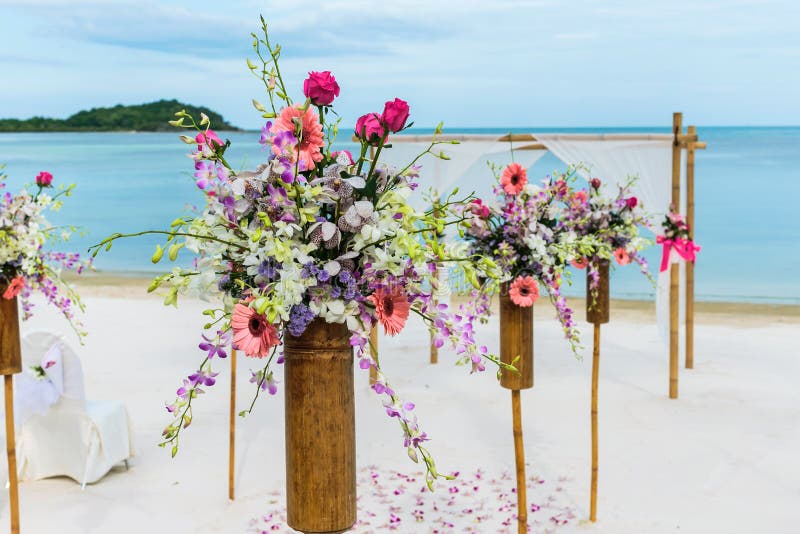 Flower setting stock photo. Image of nature, closeup - 63979158