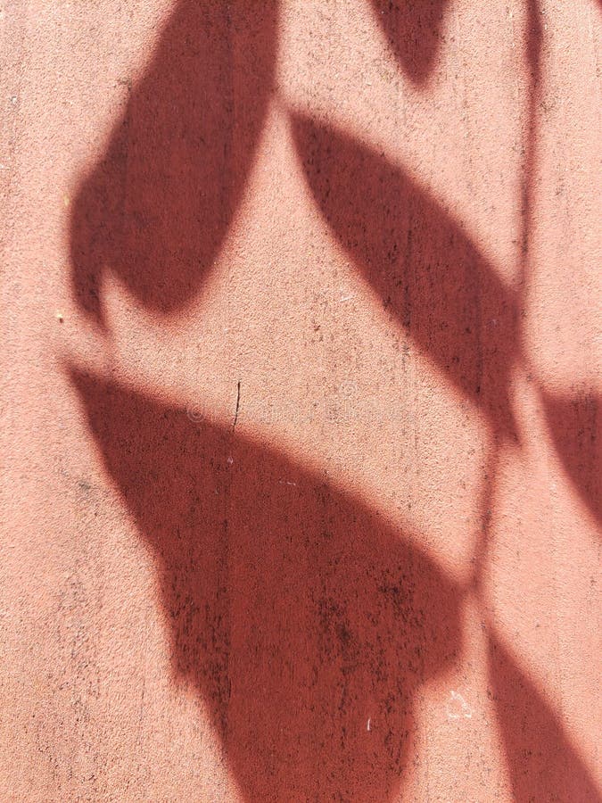 Flower Shadow on Wooden Red Pole Stock Photo - Image of wall, flooring ...
