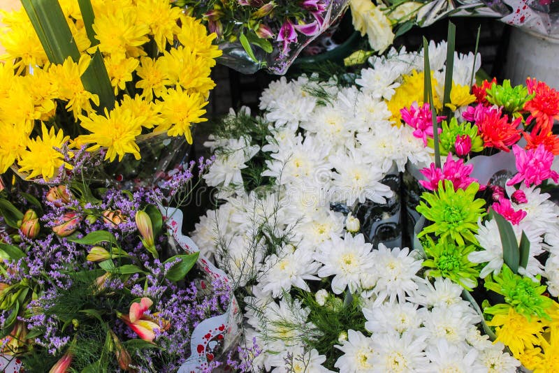 Flower in a Shop Bloom Shop Flowers Background Stock Photo - Image of ...