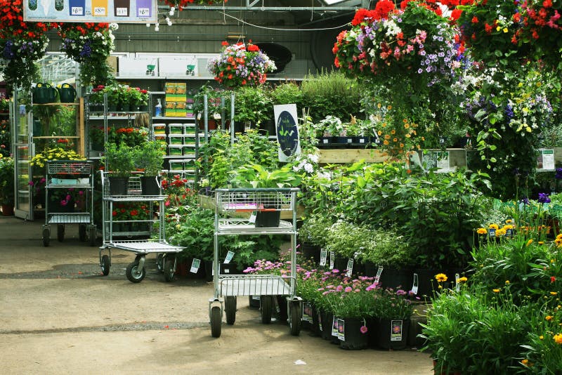 Flower shop stock image. Image of fresh, romantic, place - 2616719