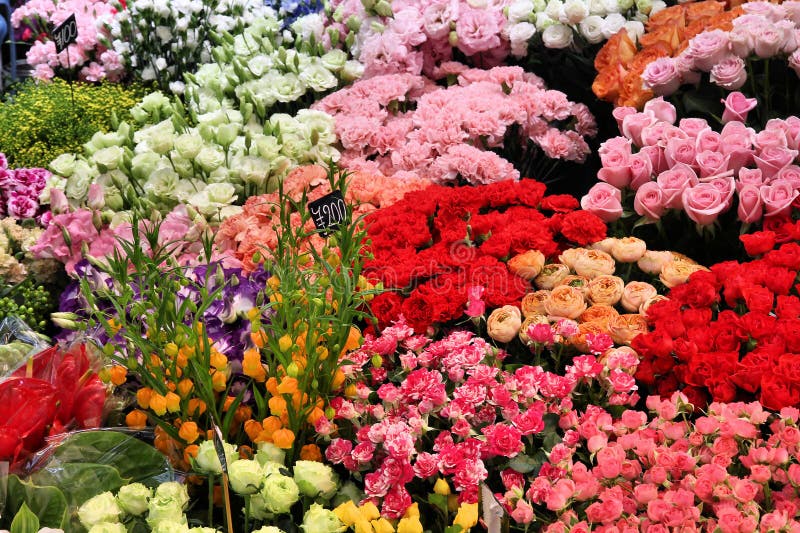 Flower shop stock photo. Image of shop, colourful, flowers - 26438732