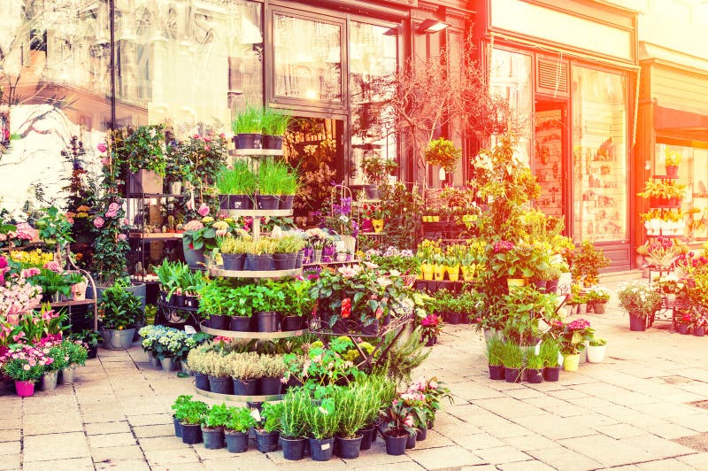 Flower shop in Europe city stock photo. Image of floral - 74929232