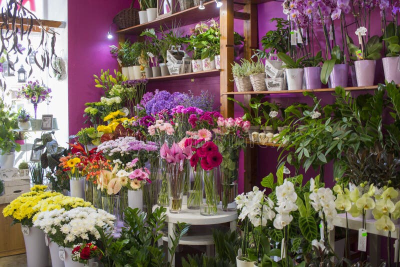 Flower in shop stock photo. Image of basket, bell, bellflower - 83291738