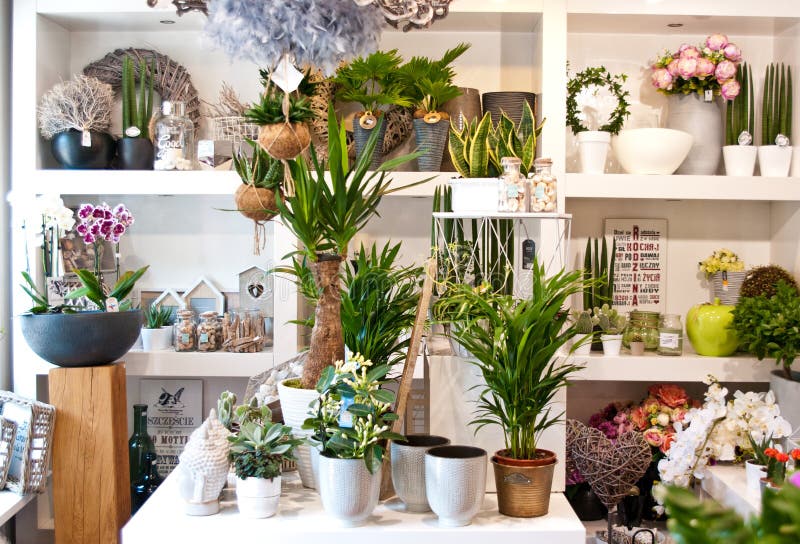 Flower shop interior stock image. Image of small, articles - 93462029