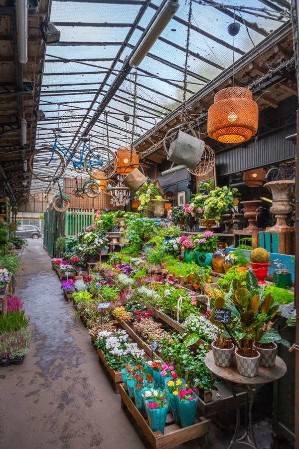 Flower shop stock image. Image of bloom, house, flower - 297214955